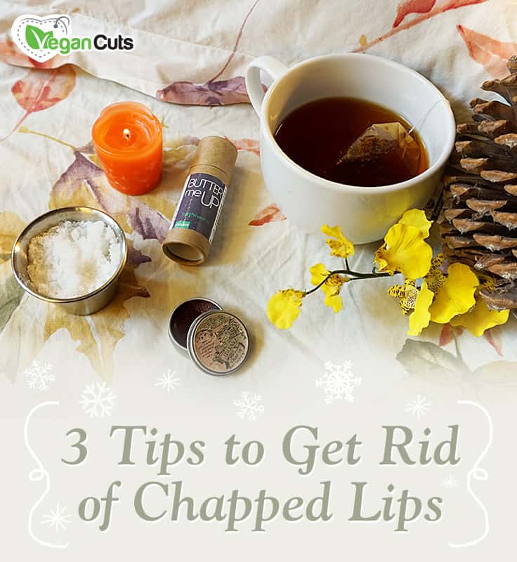 3 Tips to Get Rid of Dry Chapped Lips All Year Round – Vegancuts