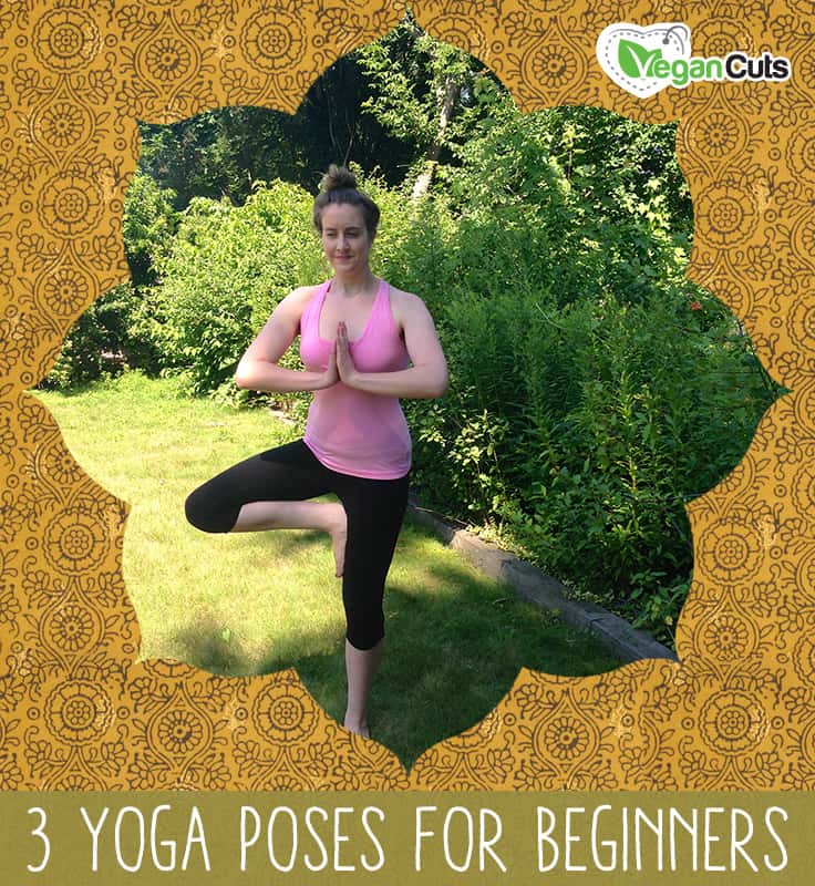 3 Yoga Poses for Beginners – Vegancuts